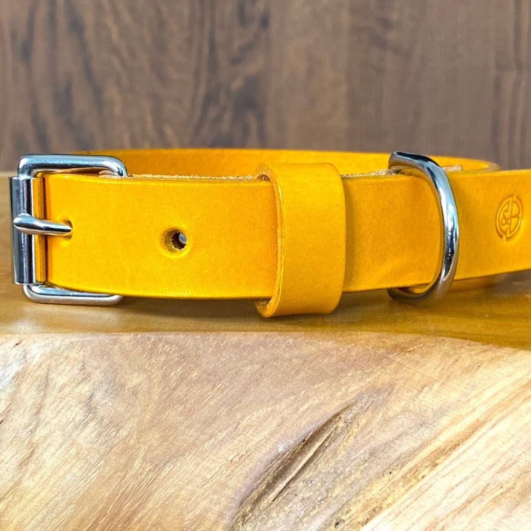 Coco Classic Collar in Mustard Yellow – Coco & Blu